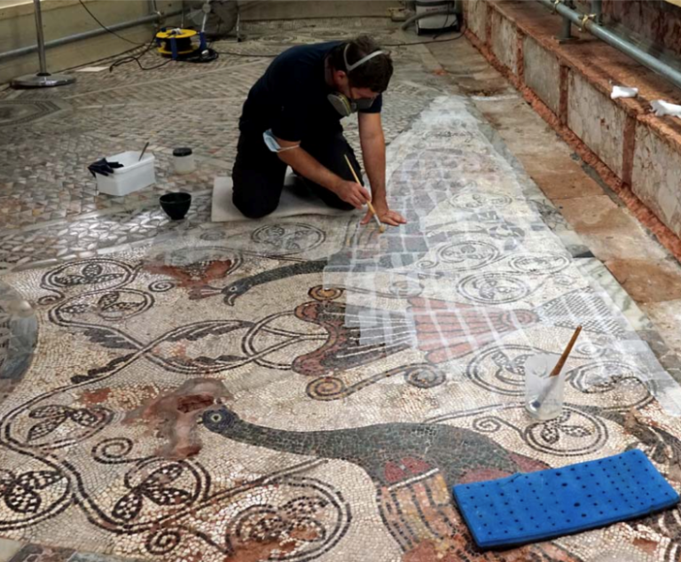 Alcune anticipazioni sul restauro dei mosaici con pavoni della Basilica ...